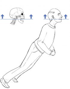 Archlifter™ - The Ultimate Neck & Spine Fitness Device