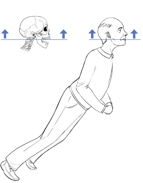 Archlifter™ - The Ultimate Neck & Spine Fitness Device